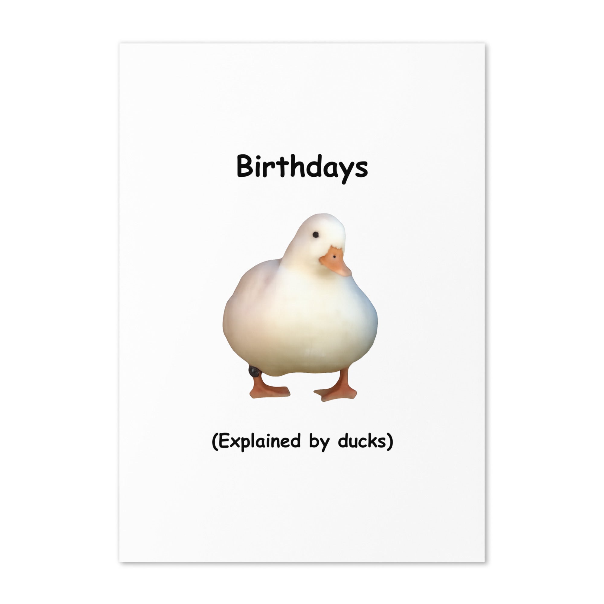 Greeting Cards – DiplomaDuck